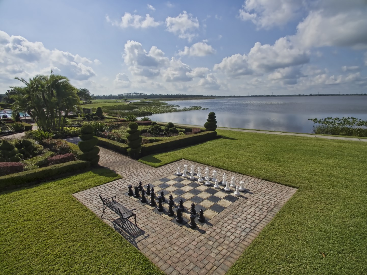 Aerials : Lake Ashton Resales